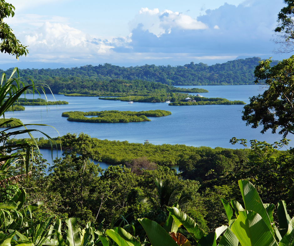 Ruanda: Viaje até o