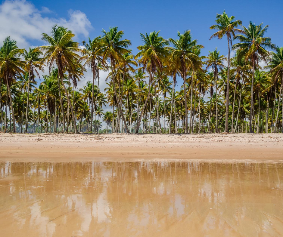 Praias da Bahia - Um guia das costas do litoral baiano