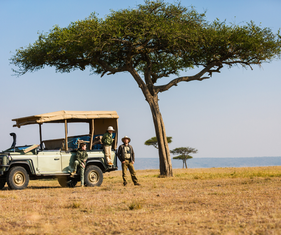 Melhores Destinos para fazer Safari na África