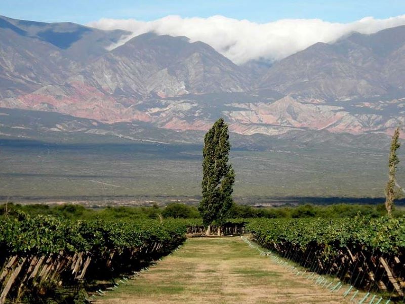 Salta e Jujuy: Motivos Para Você Conhecer a Argentina